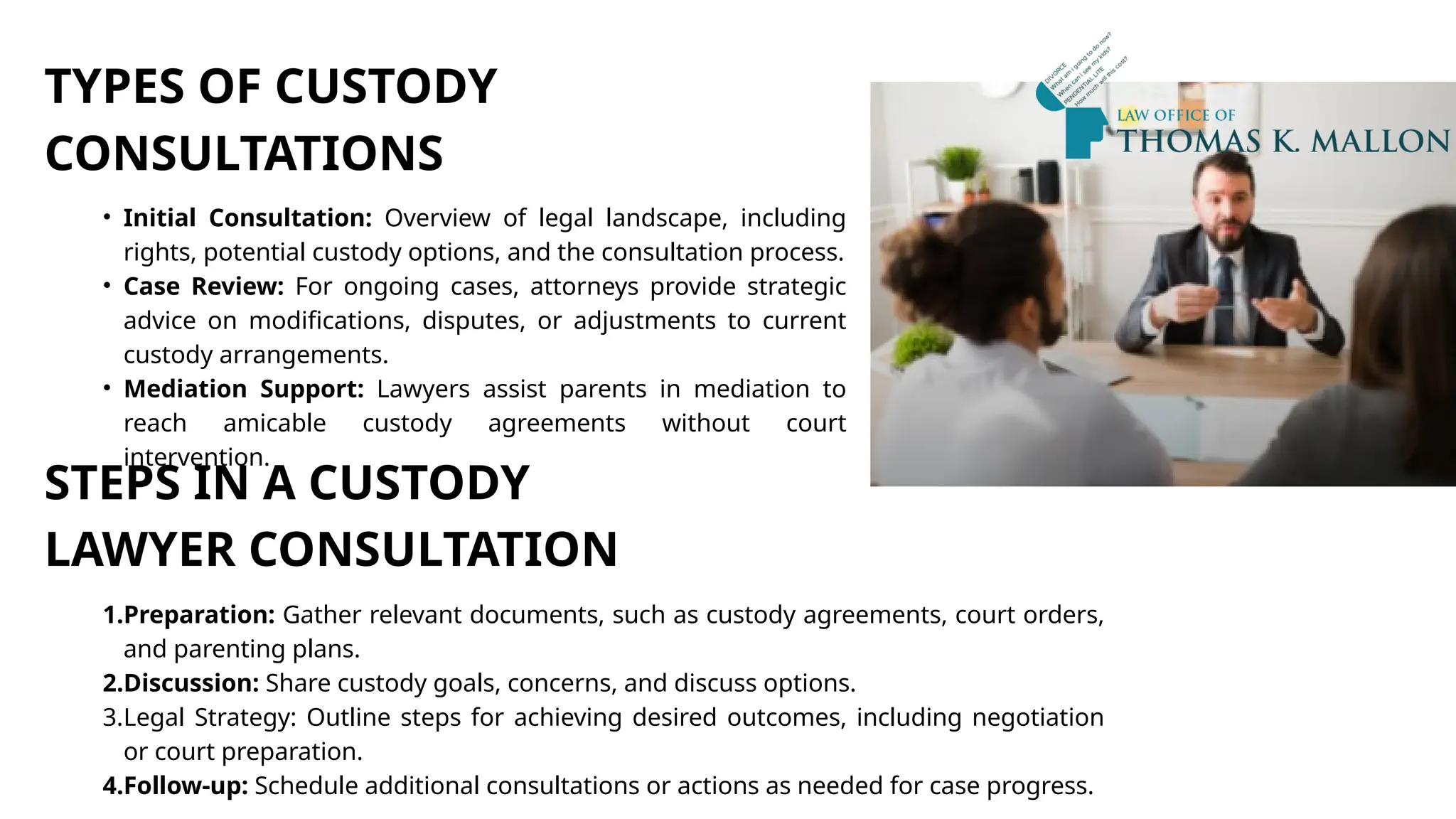 custody lawyer consultation lawyer PPT.pptx