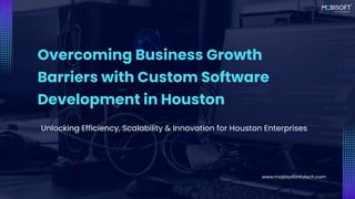 Overcoming Business Growth Barriers with Custom Software Development in ...
