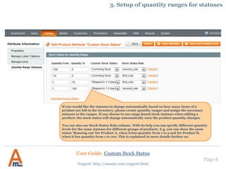 Custom Stock Status: Magento Extension by Amasty. User Guide. | PPT