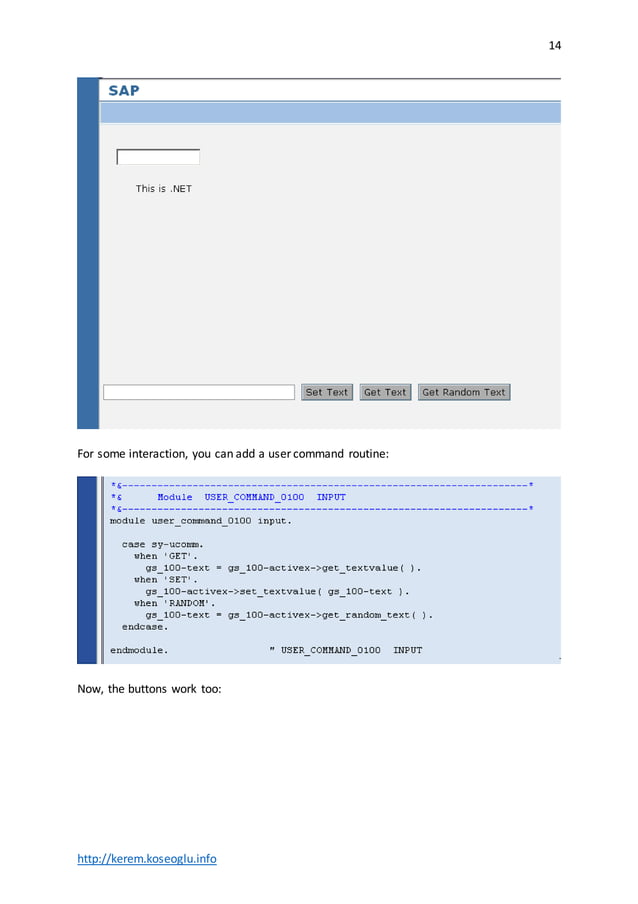 Embedding custom ActiveX controls into SAP GUI | DOCX | Operating Systems | Computer Software ...