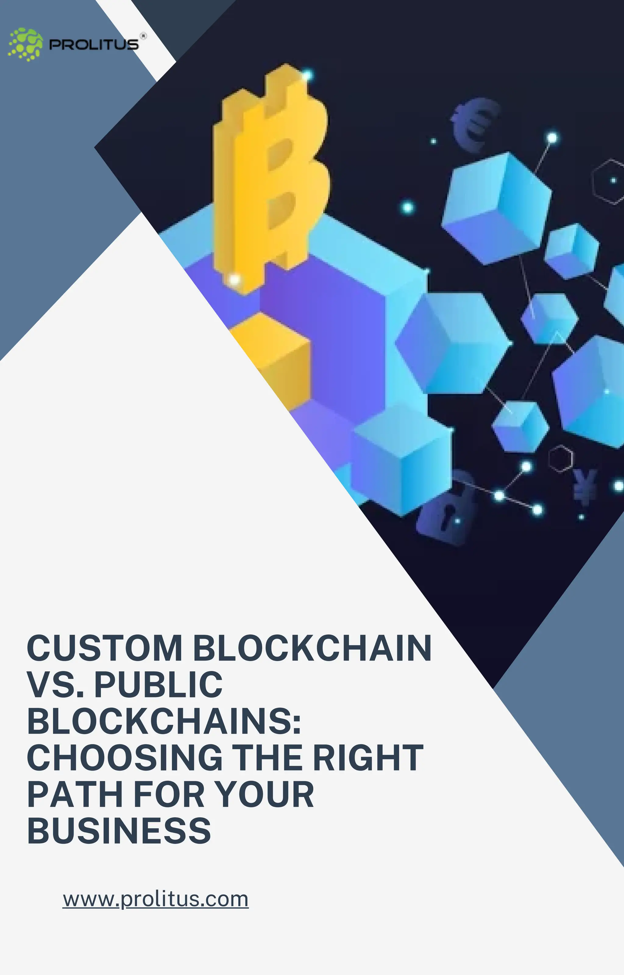 Custom Blockchain vs. Public Blockchains Choosing the Right Path for Your Business.pdf