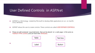 Custom Controls.pptx