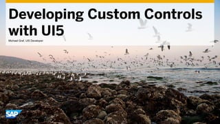 Developing Custom Controls with UI5 (OpenUI5 video lecture) | PDF