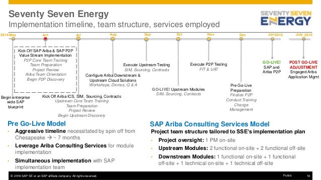 sap-ariba-implementation-experiences-customer-panel