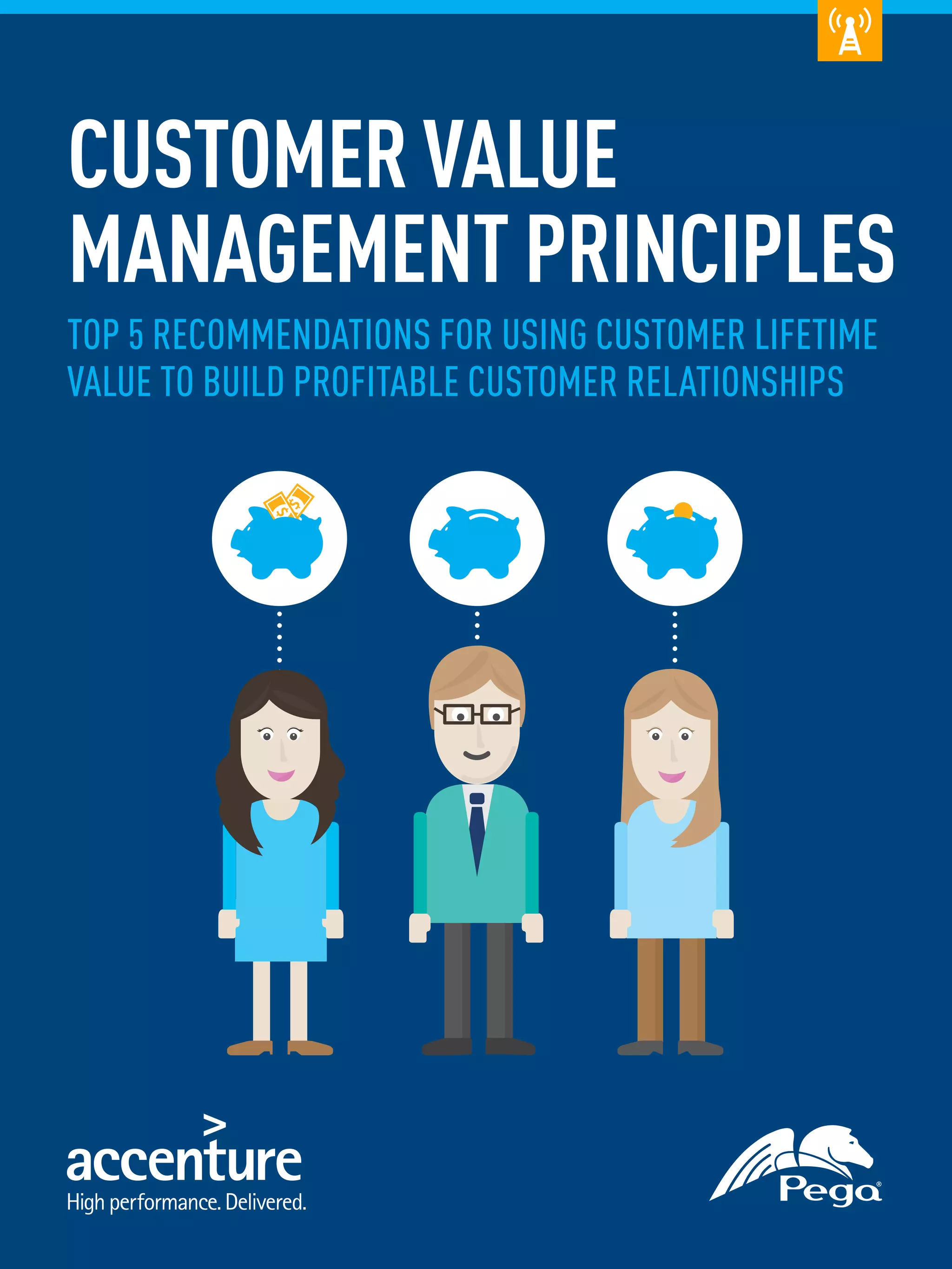 Customer Value Management Principles | PDF