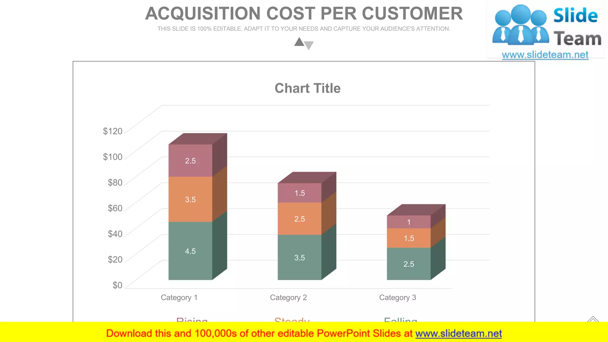 Customer Acquisition Process Steps PowerPoint Presentation Slides | PPT
