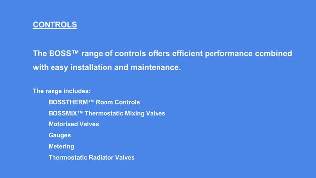 Customer boss brand presentation.pptx