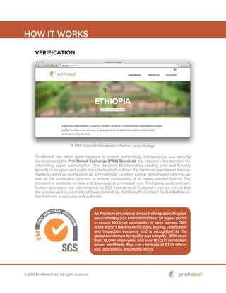 PrintReleaf Customer Brochure | PDF