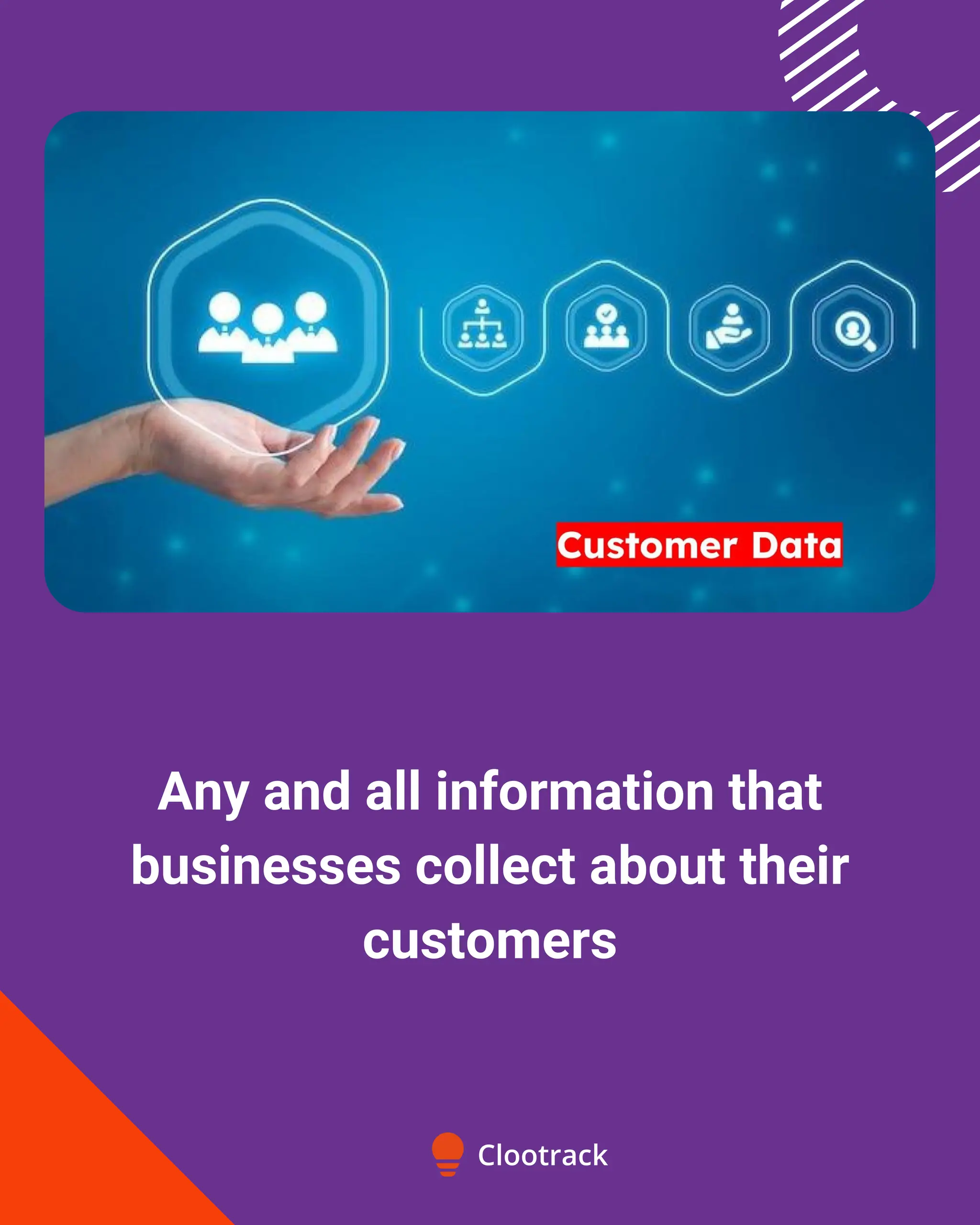 The Power of Customer Data: Insights for Business Success | PDF