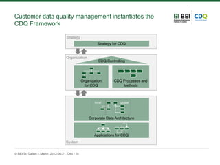 Customer Data Management | PDF