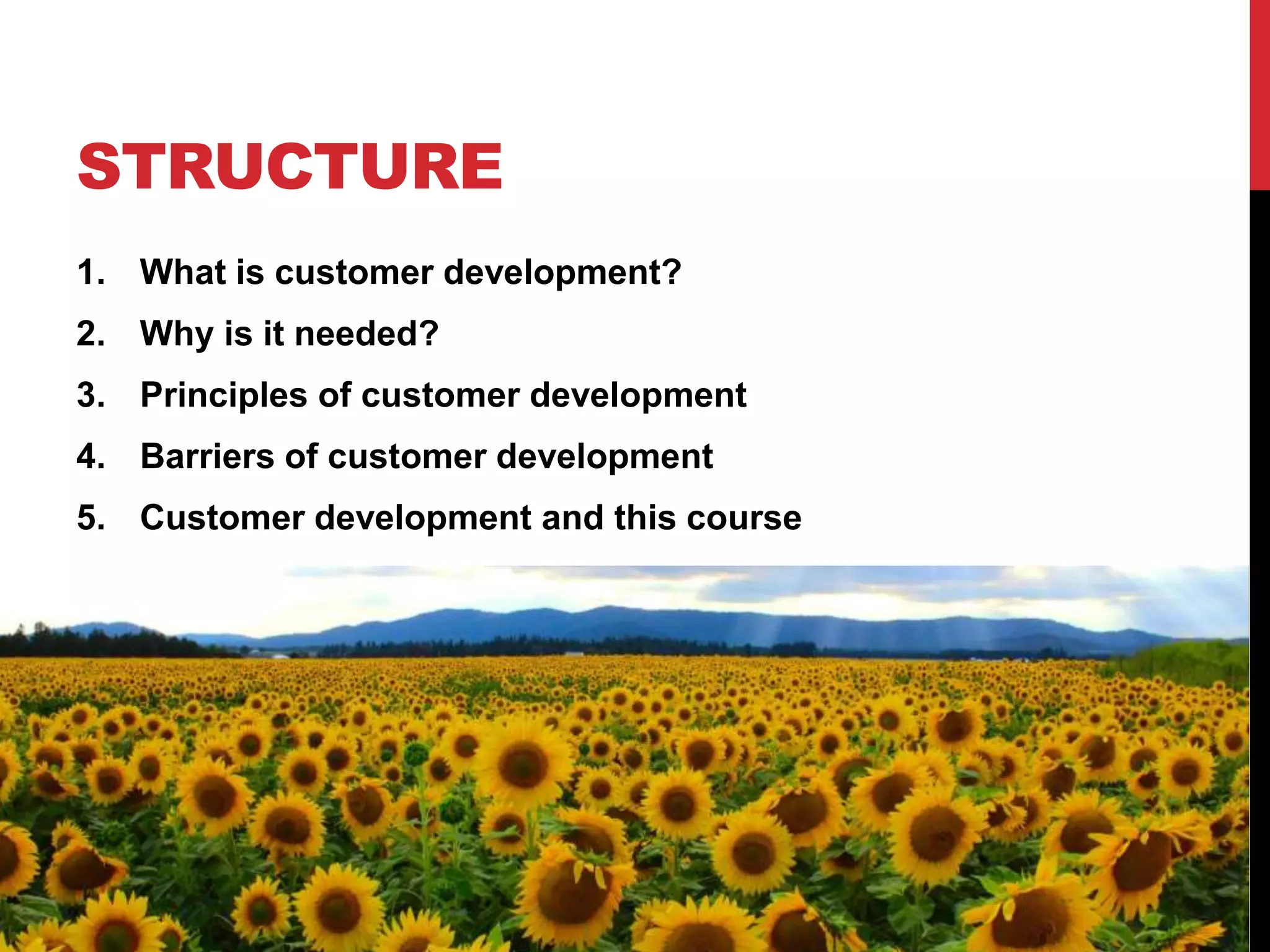 Lean Software Startup: Customer Development (lecture) | PPTX