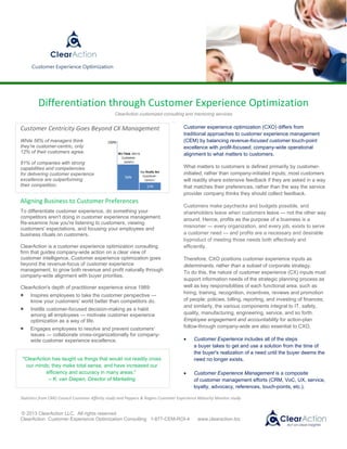 Customer Experience Optimization Consulting | PDF