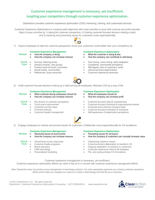 Customer Experience Optimization Consulting | PDF
