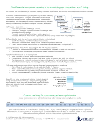 Customer Experience Optimization Consulting | PDF
