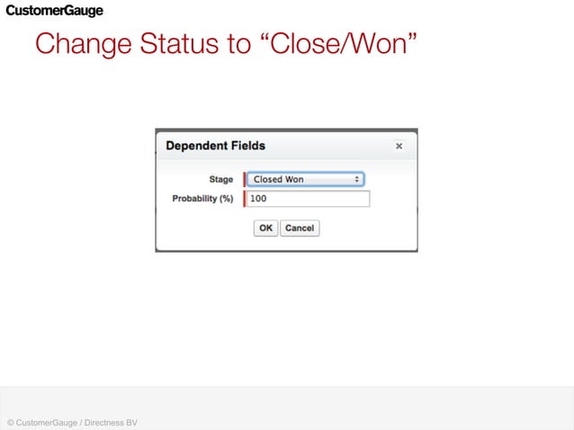 SalesForce.com Net Promoter Integration with CustomerGauge "Round ...