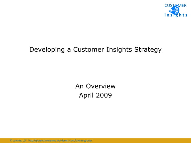 Developing a Customer Insights Strategy | PPT