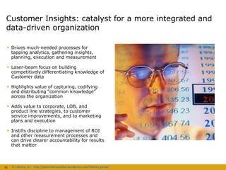 Developing a Customer Insights Strategy | PDF