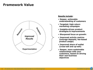 Developing a Customer Insights Strategy | PDF