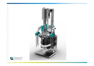 Applikon Mini Bioreactors | PDF