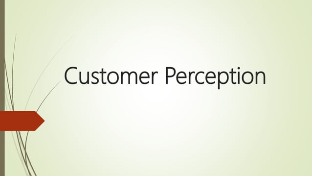 Customer Perception and What are the Factors Influencing Customer ...
