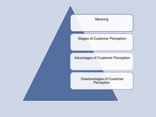 customer perception ppt.pptx