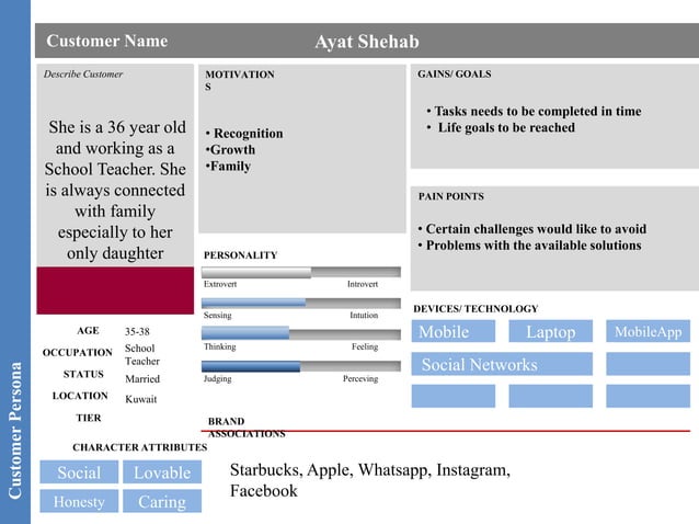 Customer Persona Mapping Tool | PPT