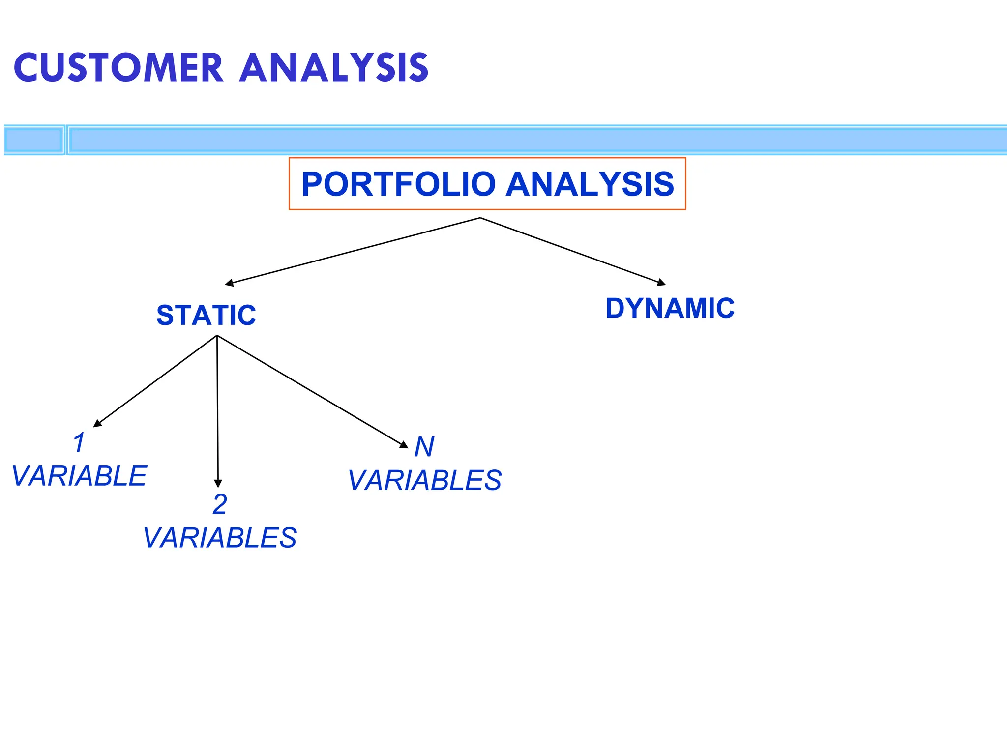 Customer portfolio management + WHITE PAPER.pdf