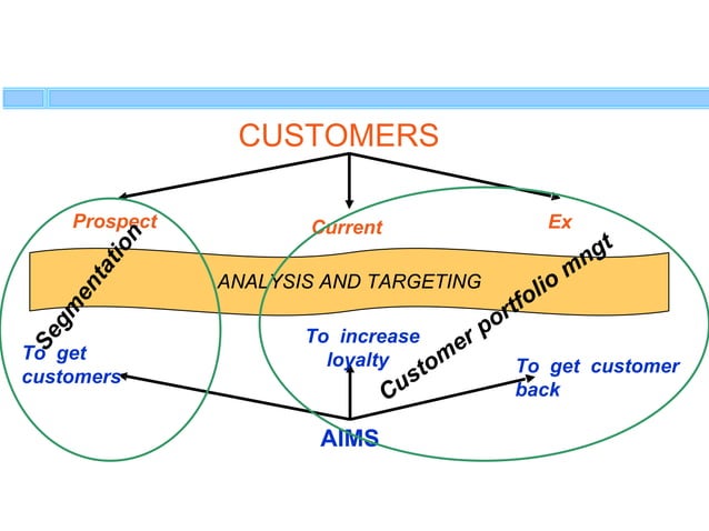 Customer portfolio management + WHITE PAPER.pdf