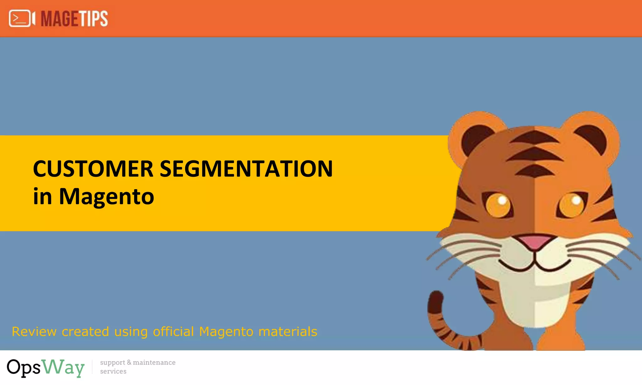 Customer segmentation | PPTX