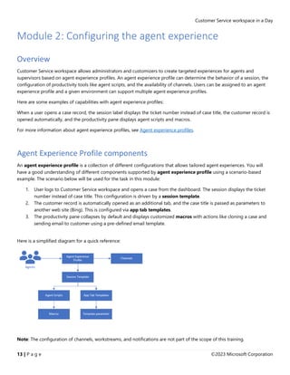 Dynamics 365 Customer Service workspace in a day | PDF