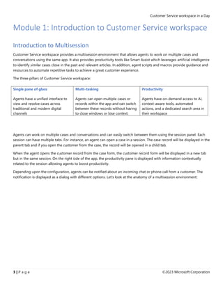 Dynamics 365 Customer Service workspace in a day | PDF