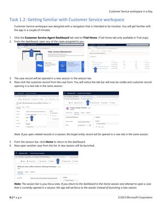 Dynamics 365 Customer Service workspace in a day | PDF