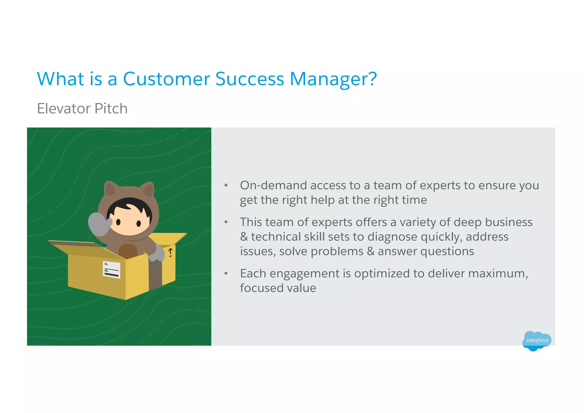 Customer success manager role | PDF
