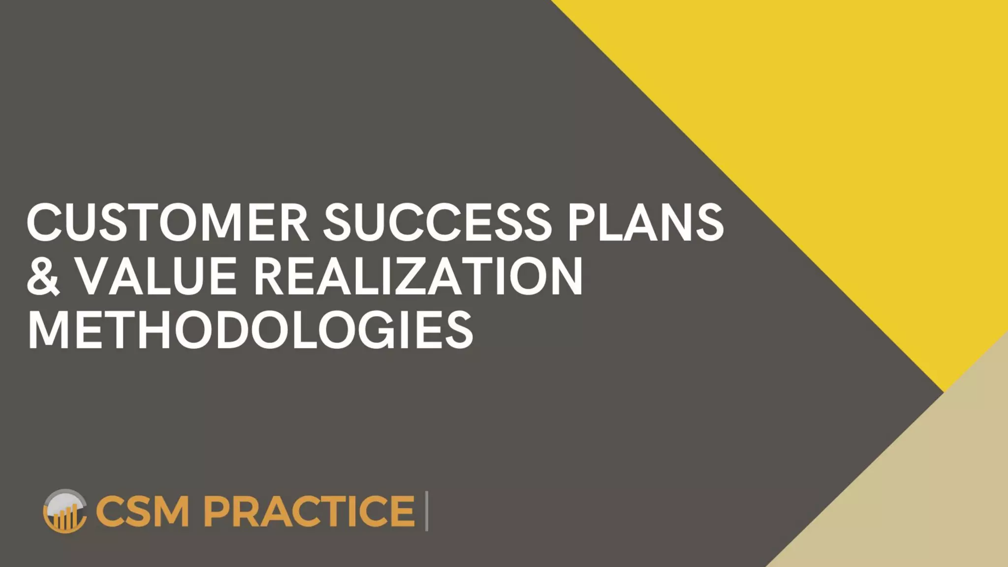 Customer Success Plans - Value Realization Methodologies | PDF