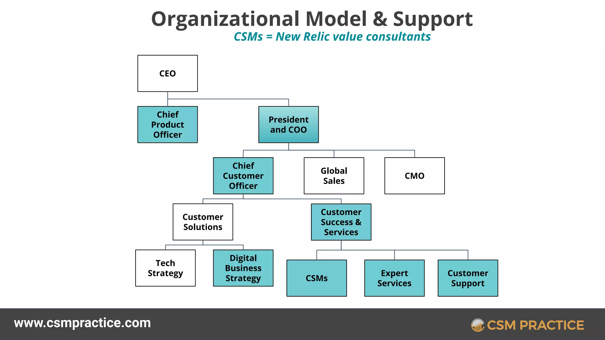 Customer Success Plans - Value Realization Methodologies | PDF