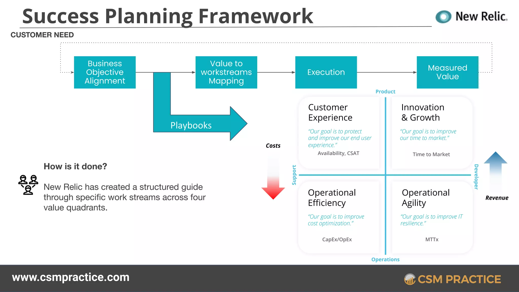 Customer Success Plans - Value Realization Methodologies | PDF
