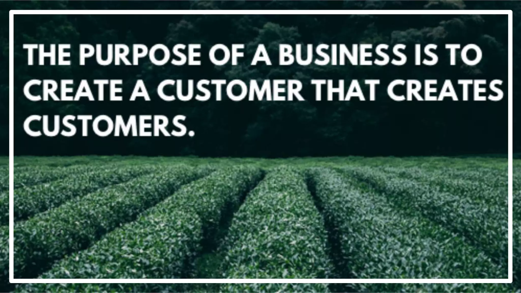 Best Customer Success Quotes for E-Commerce Entrepreneurs | PPTX