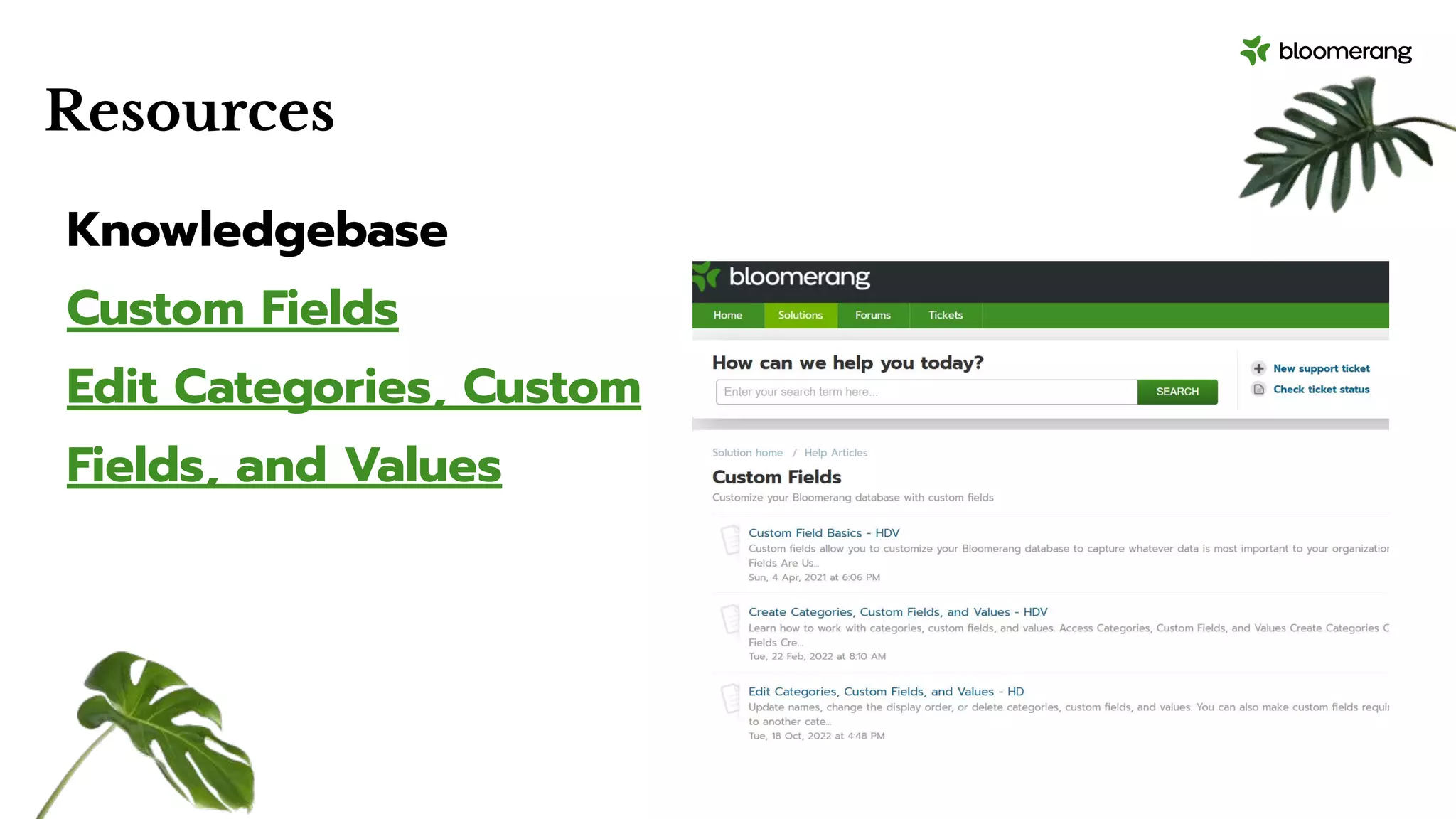 Custom Fields_BLG Build.pdf