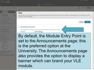 Introduction to customising your module area in Blackboard Learn 9.1 | PPT
