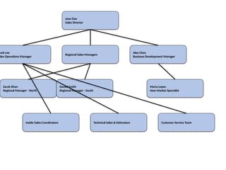 Customized_Sales_Org_Chart_With_Lines.pptx