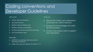 Customizing governance | PPT