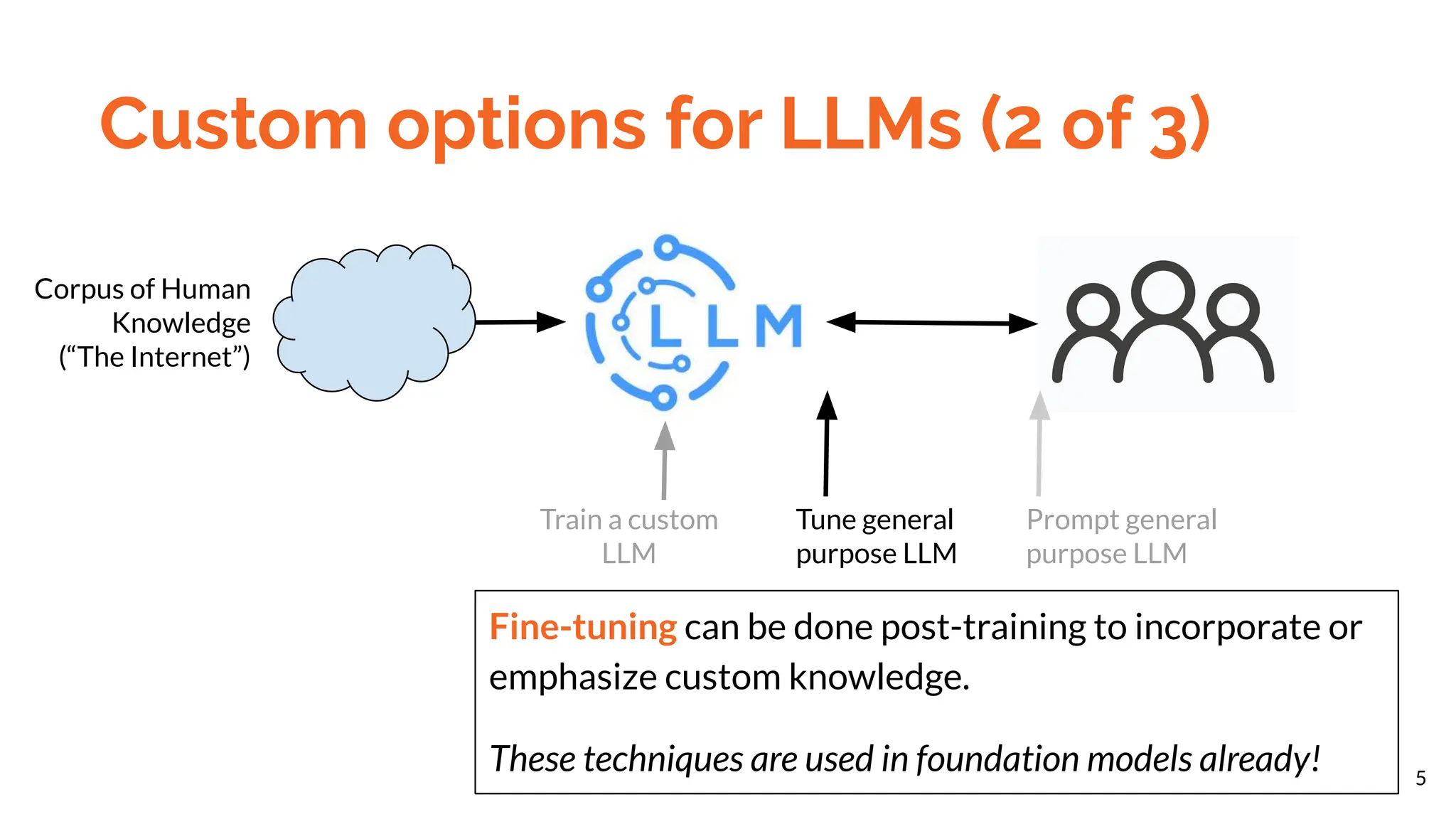 Customizing LLMs | PDF