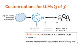 Customizing LLMs | PDF