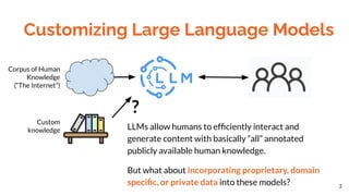 Customizing LLMs | PDF