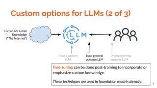Customizing LLMs | PDF