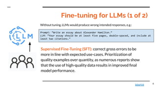 Customizing LLMs | PDF