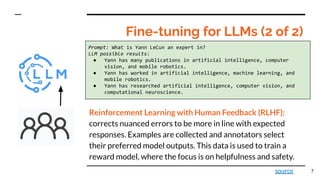 Customizing LLMs | PDF