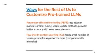 Customizing LLMs | PDF