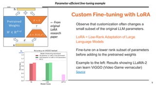 Customizing LLMs | PDF
