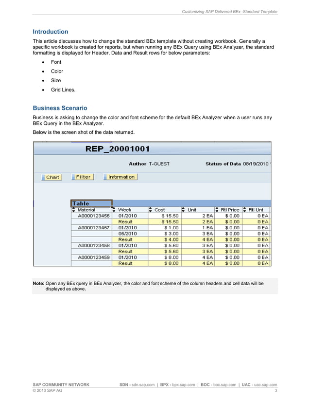 Customizing sap template bex | PDF